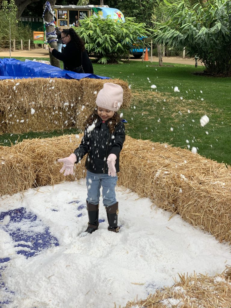 Snow in Santa Ana Zoo • LA Mami Life